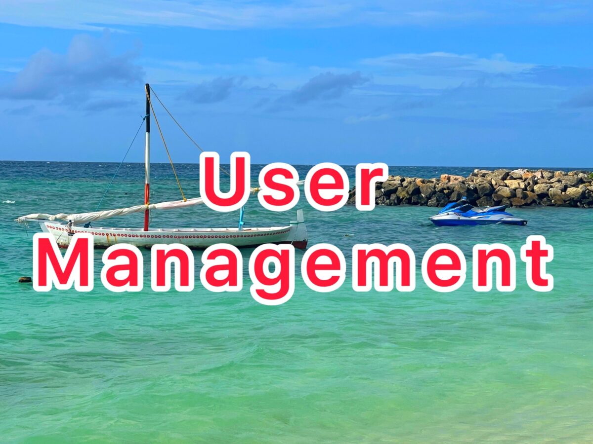 User Management in Salesforce Explained - DYDC User Management in Salesforce Explained - DYDC