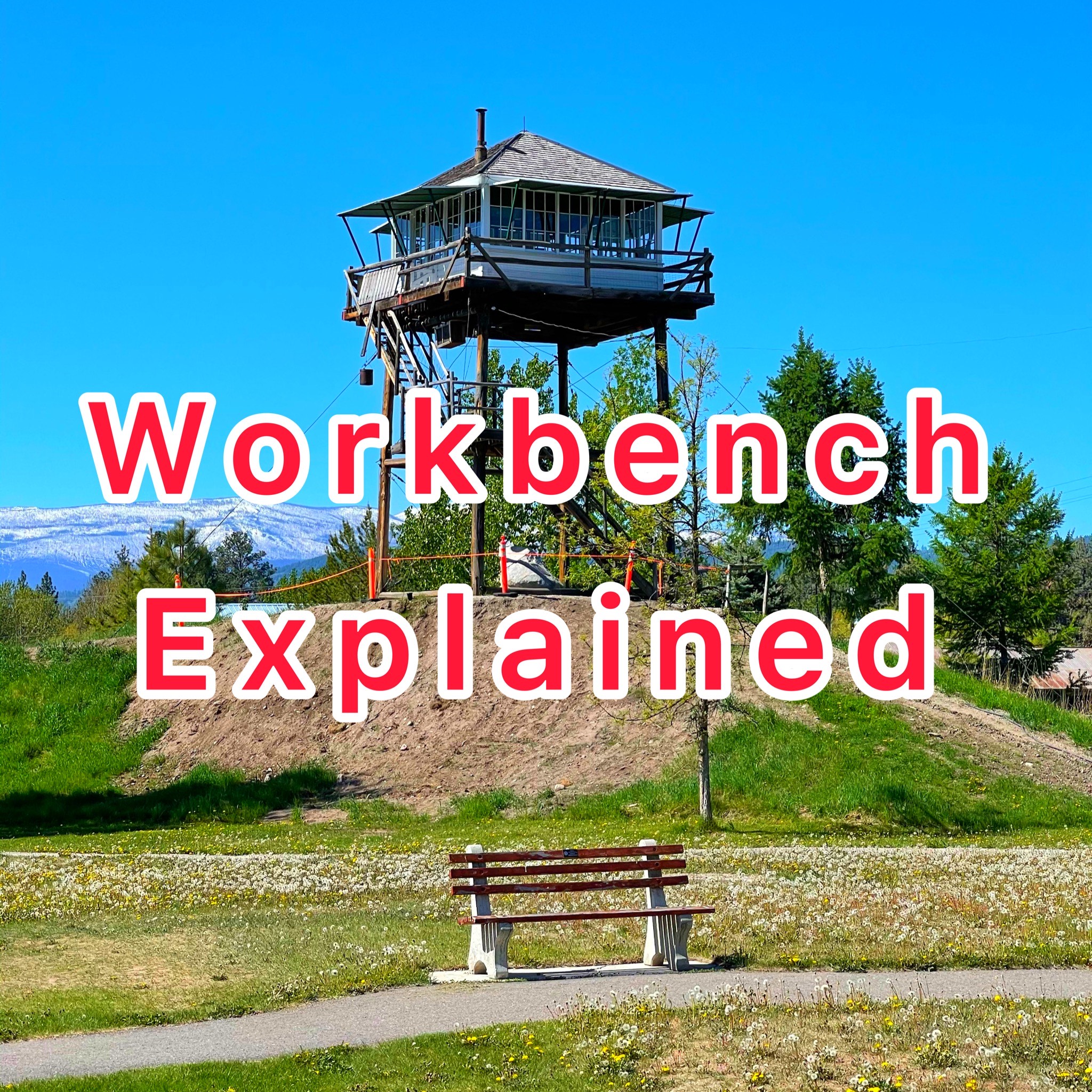 Workbench for Salesforce Explained - DYDC Workbench for Salesforce Explained - DYDC