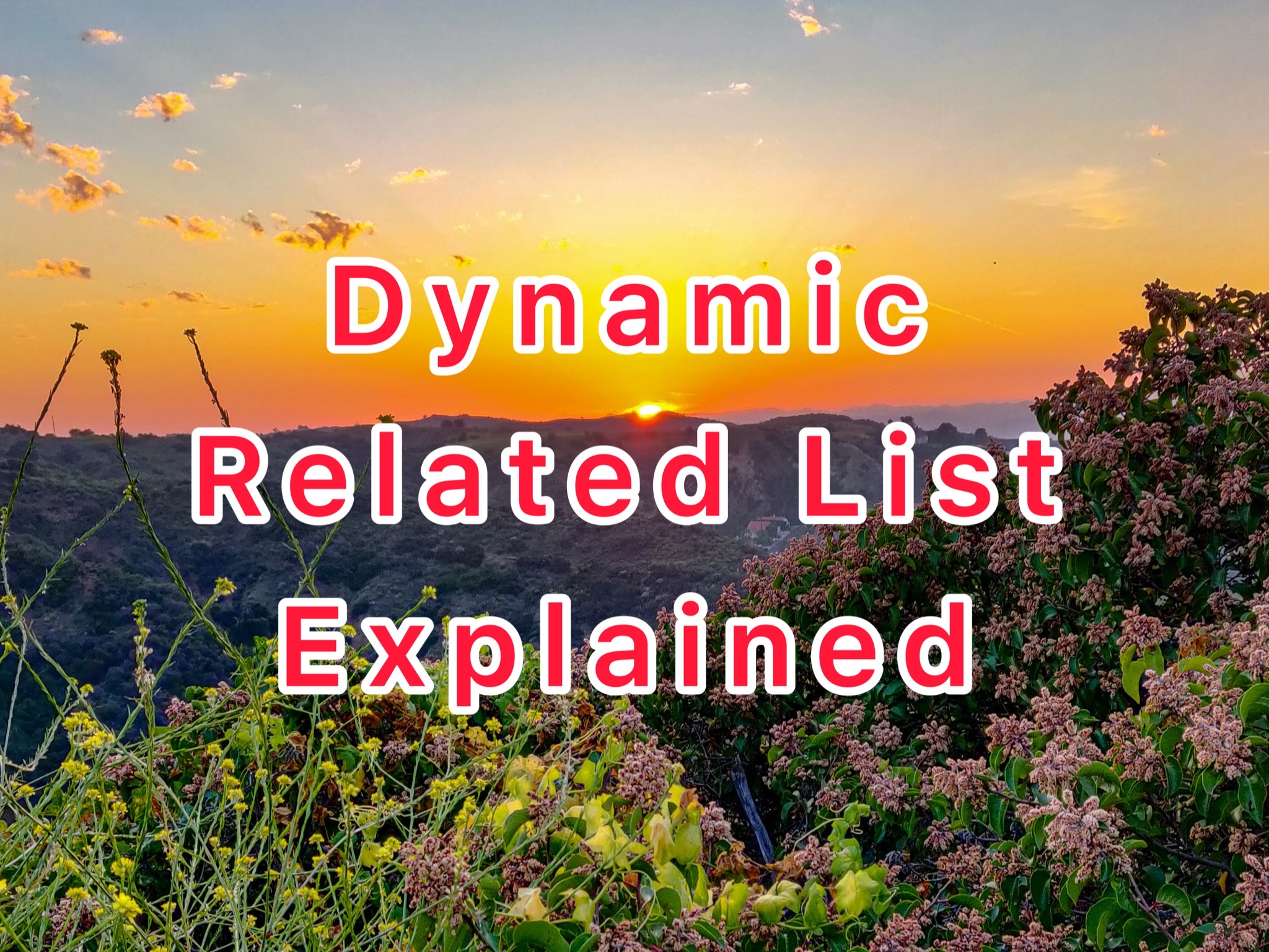 Salesforce Dynamic Related List Explained - DYDC Salesforce Dynamic Related List Explained - DYDC